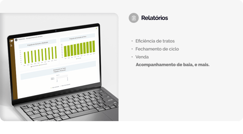 iRancho Confinamento